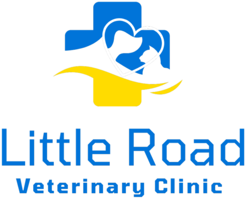 Vet Clinic In New Port Richey, FL | Little Road Veterinary